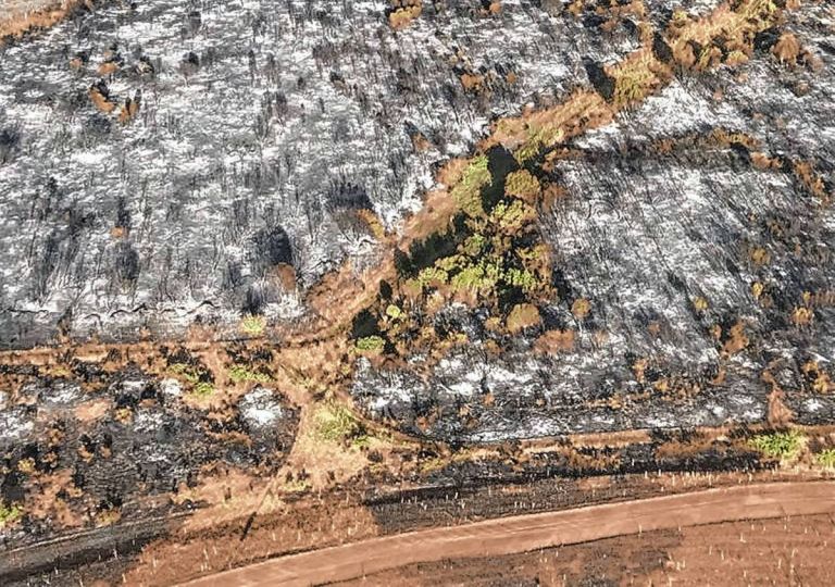 Brigadistas controlaron incendio cerca del Parque Los Alerces y ...